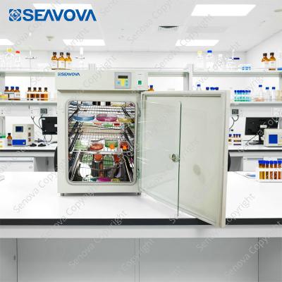 China Water Jacketed Incubator NovaIncu WT270-I for sale