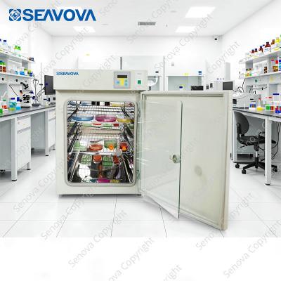 China Air Jacketed Incubator NovaIncu WT270-I for sale