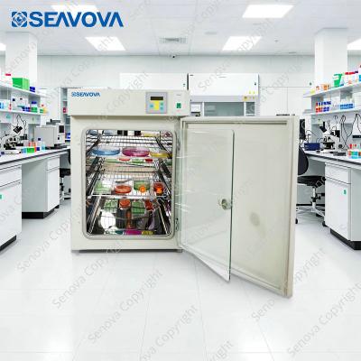 China Air Jacketed Incubator NovaIncu AT162-I for sale