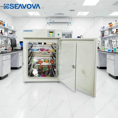 China Air Jacketed Incubator NovaIncu AT80-I for sale
