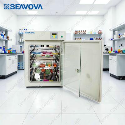 China 50L Air Jacketed Incubator NovaIncu AT50-I for sale