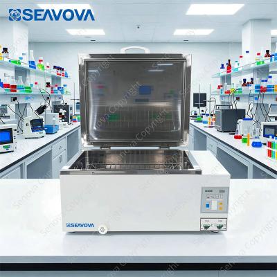 China 16L 65C Laboratory Water Bath NovaBath DWT-16 for sale
