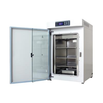 China 160L Direct Heating Laboratory CO2 Incubator 99.9998% Filter Cell Culture Incubator for sale