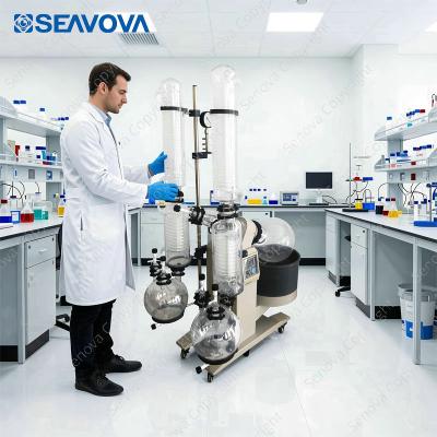 China Electric Lifting 10L Rotary Evaporator Dual Set Up Rotary Vacuum Distiller for sale