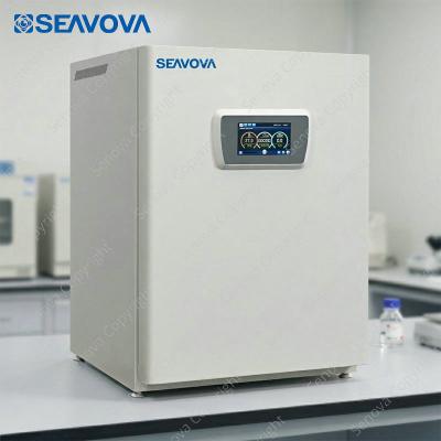China 175L Air Jacket CO2 Incubator ST-214R with 90C Moist Heat Sterilization for sale