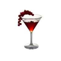 China Mini 10oz Plastic Martini Glasses For Appetizers Desserts Food Safe for sale
