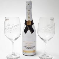 China Moet Ice Imperial Branded Wine Accessories Clear BPA Free Tritan Plastic Glasses for sale