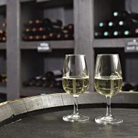 China 220ML Reusable Plastic Drinking Glasses  ISO Trade Show Wine Tasting Glass Safe for sale