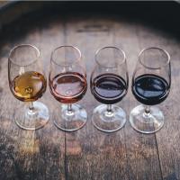 China 220ML Reusable Plastic Drinking Glasses  ISO Trade Show Wine Tasting Glass Safe for sale