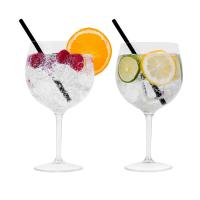 China Clear Reusable Plastic Wine Glasses Cocktail Plastic Gin Balloon Home Picnics BBQ for sale