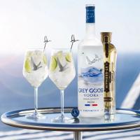 China Durable Branded Wine Accessories Grey Goose Wine Glasses Customized Your Brand for sale
