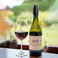China FDA Vacuum Wine Stopper For Keeping Wine Fresh And Easily With Date for sale