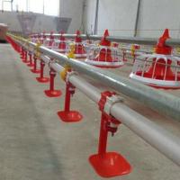 China 380v Poultry Farm Equipment 3 pan/3m Automatic Pan Feeding System for sale