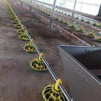 China Fully Automatic Chicken Feeding Line 14/16 Partitions 450kg/H for sale