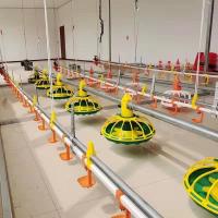 China 450kg/H Fully Automatic Chicken Feed Line With Hopper Galvanized Pipe for sale