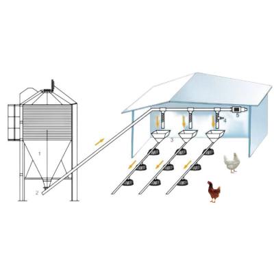 China 45-65 broiler Chicken Breeding Equipment HX Chicken Feed System for sale