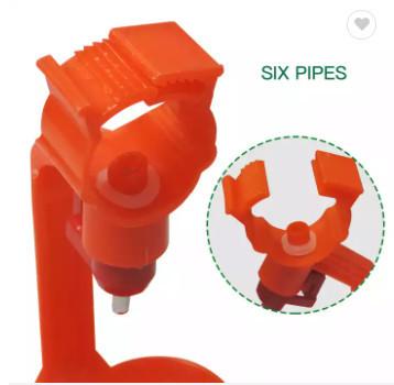 China 0.031KG/pcs No Drip Chicken Waterer Goose Pigeon Feeder And Drinker for sale