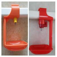 China Plastic Water Nipple Drinker Chicken Feeder for Bird Quail for sale