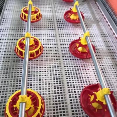 China Galvanized Pipe Poultry Farming Machine 10 Years Life Span for sale