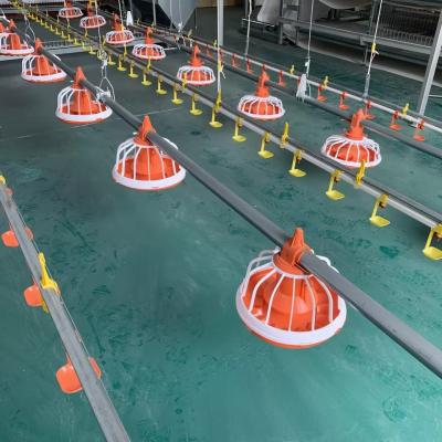 China Dia.25mm Automatic Poultry Feeder For Broiler 10 Years Life Span for sale