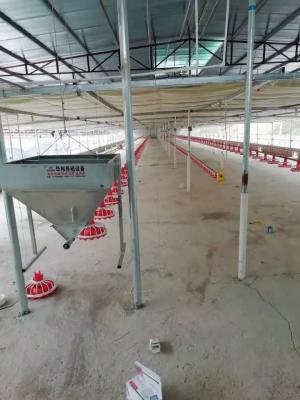 China Plastic Poultry Farm Equipment 380v 0.75kw Automatic Feeding Machine For Poultry for sale