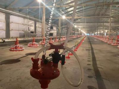 China 4 Pan/3m Chicken Feeder Equipment 380v 0.75kw With Driving Device for sale