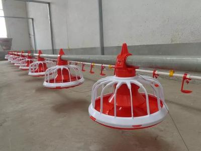 China Broiler Chicken Farming Equipment 380v With 1 Year Warranty for sale