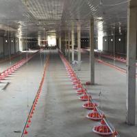 China 380V 50hz  3 Phases Poultry Farm Equipment For Floor Broiler Feeding for sale