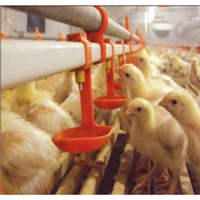 China Bird Quail Chicken Nipple Drinker System 3 Months Warranty for sale