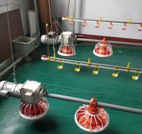 China Breeder / Broiler Poultry Farming Machine 14 16 Compartments for sale