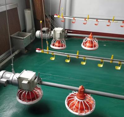 China Breeder / Broiler Poultry Farming Machine 14 16 Compartments for sale