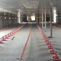 China Galvanized Pipe Poultry Farming Machine Pan Feeding System Diameter 45mm for sale