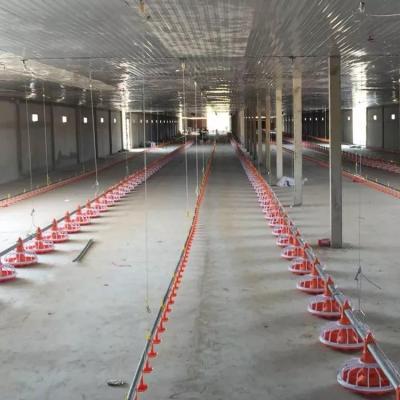 China Galvanized Pipe Poultry Farming Machine Pan Feeding System Diameter 45mm for sale