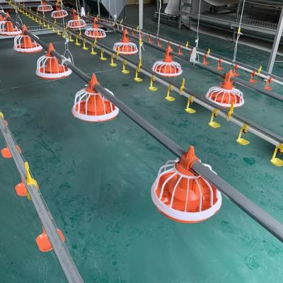 China EO Feeding Poultry Farm Equipment Automatic Feeding System For Poultry 1 Year Warranty for sale