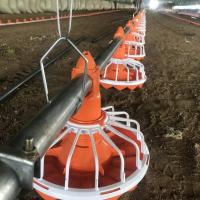 China 3 Pan/3m Chicken Feeding System Easy Installation Long Service Life for sale