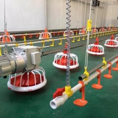 China OEM Poultry Farm Equipment 30KG Automatic Poultry Feeder For Broiler for sale