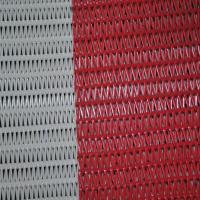 China Manufacturer Supplied Polyester Mesh  For Food Processing Transportation Food Packaging Lines for sale