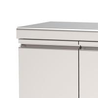 China Outdoor Bbq Trolley Stainless Steel Storage Cabinet With Wheels 4 Garden TLGTOF041 for sale