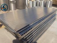 China Ss 316l 1.0mm Slot Wedge Wire Screen Panels Support Grid For Carbon Filters for sale