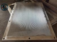 China Duplex Steel 2507 Wedge Wire Panel Vee Shaped Flat Screen for sale
