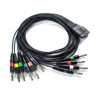 China 10 Wire EKG Patient Cable Banana Plug AHA For FT-1 Code 2.400331 For S-Chiller for sale