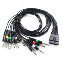 China 10 Wire EKG Patient Cable Banana Plug AHA For FT-1 Code 2.400331 For S-Chiller for sale