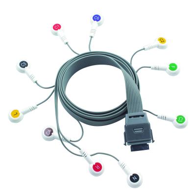 China Grey 10 Lead ECG Holter Cable Compatible for Edan Biomedical Instrument IEC Snap for sale