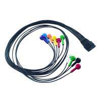 China IEC/AHA Color Coding Schiller MS-12 Blue Compatible ECG Patient Cable for FT-1 2.400331 for sale