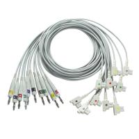 China Compatible GE ECG Diagnostic Cable 10Lead IEC Banana for GE AM4,AM5, CASE 12,CASE 15,CASE 16,CENTRA MAC12 for sale