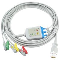 China ECG Cable 5 Lead 12Pin M1975A for Adult Pediatric for sale