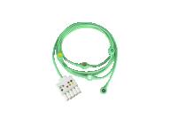 China Siemen Draeger Monolead MS16160 MS16161 ECG EKG patient Cable and Leadwires 3  Lead wire Dual 5Pin for sale