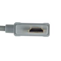China Compatible 10 Lead LEPU Creative TH12 ECG EKG Holter Cables Holter ECG EKG Cable and Leadwires Snap for sale