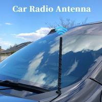 China Wash Proof Radio Antenna Replacement Flexible Rubber FM AM Radio Antenna  HT-B241 for sale