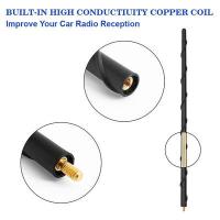 China 7 8 15 16 Inches Rubber Antenna HF Mobile 915mhz AM FM Radio Car Antenna HT-AMFM for sale